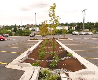 Seattle DJC.com local business news and data - Environment - Rain ...