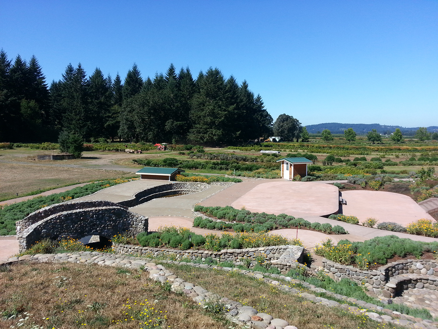 Seattle DJC.com local business news and data - Environment - Lavender ...