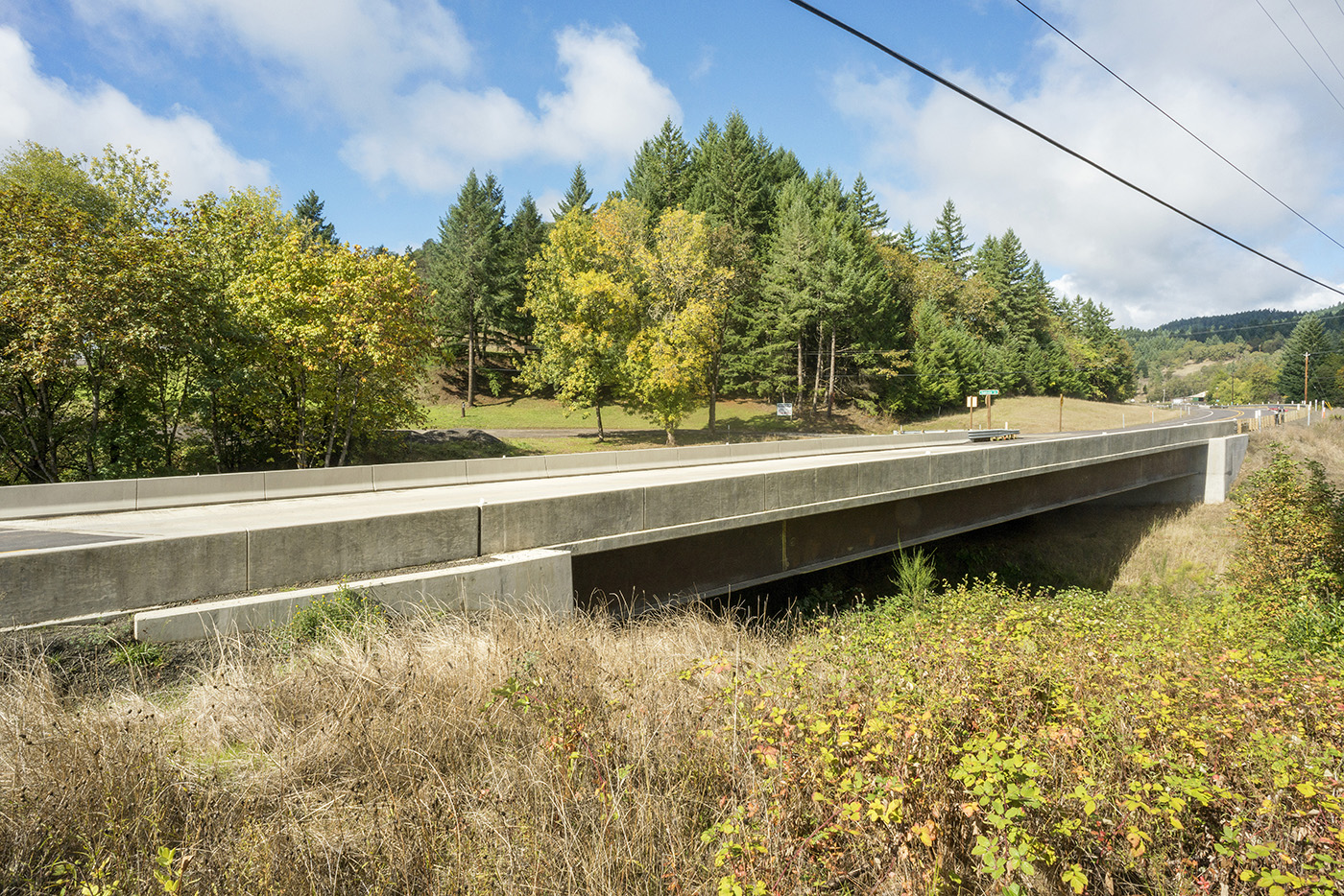 Seattle DJC.com local business news and data - Environment - NW bridges ...