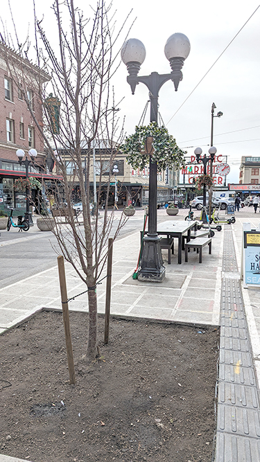 Seattle DJC.com local business news and data - Architecture ...